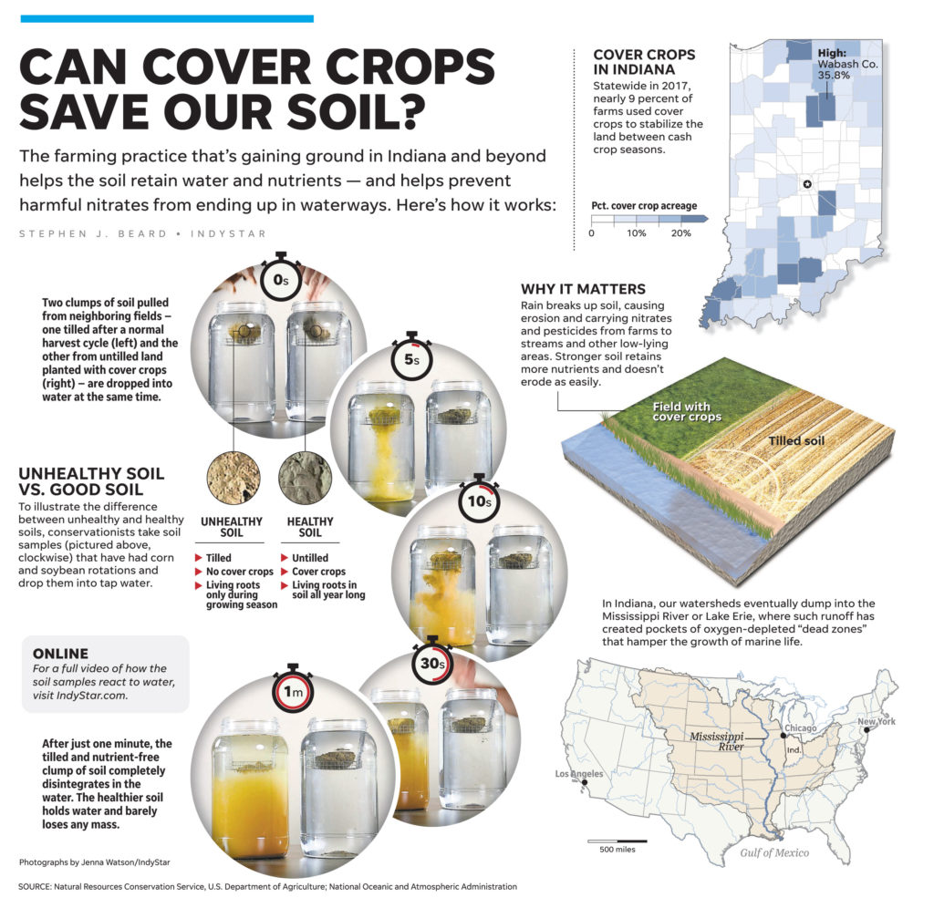 A look at cover crops | Stephen J. Beard Graphics and Visuals